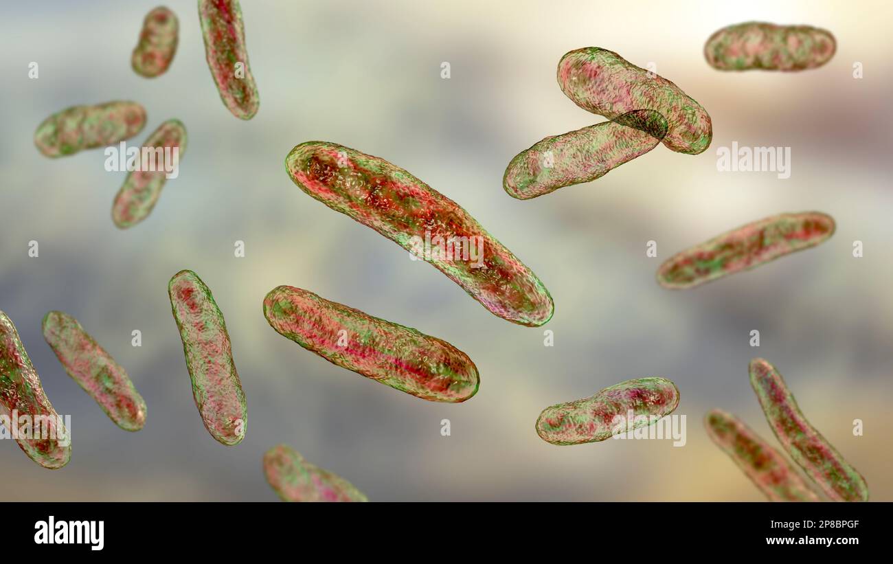 Bioremediation microorganisms hi-res stock photography and images - Alamy
