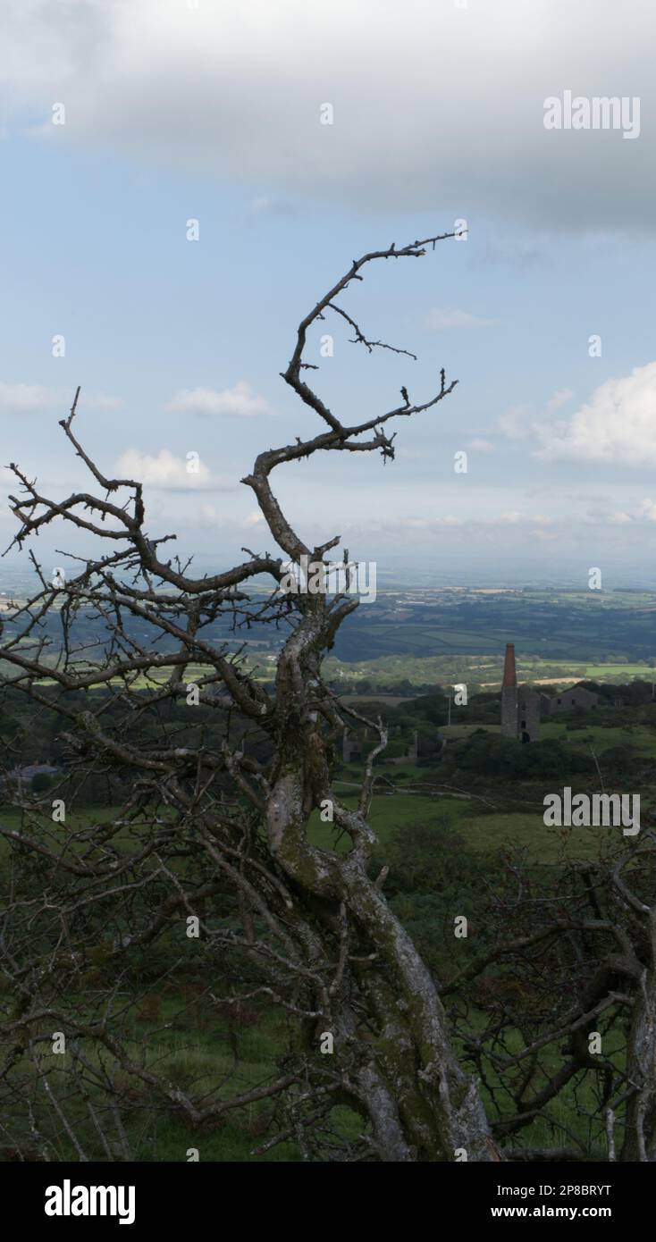 Old mine bodmin moor hi-res stock photography and images - Alamy