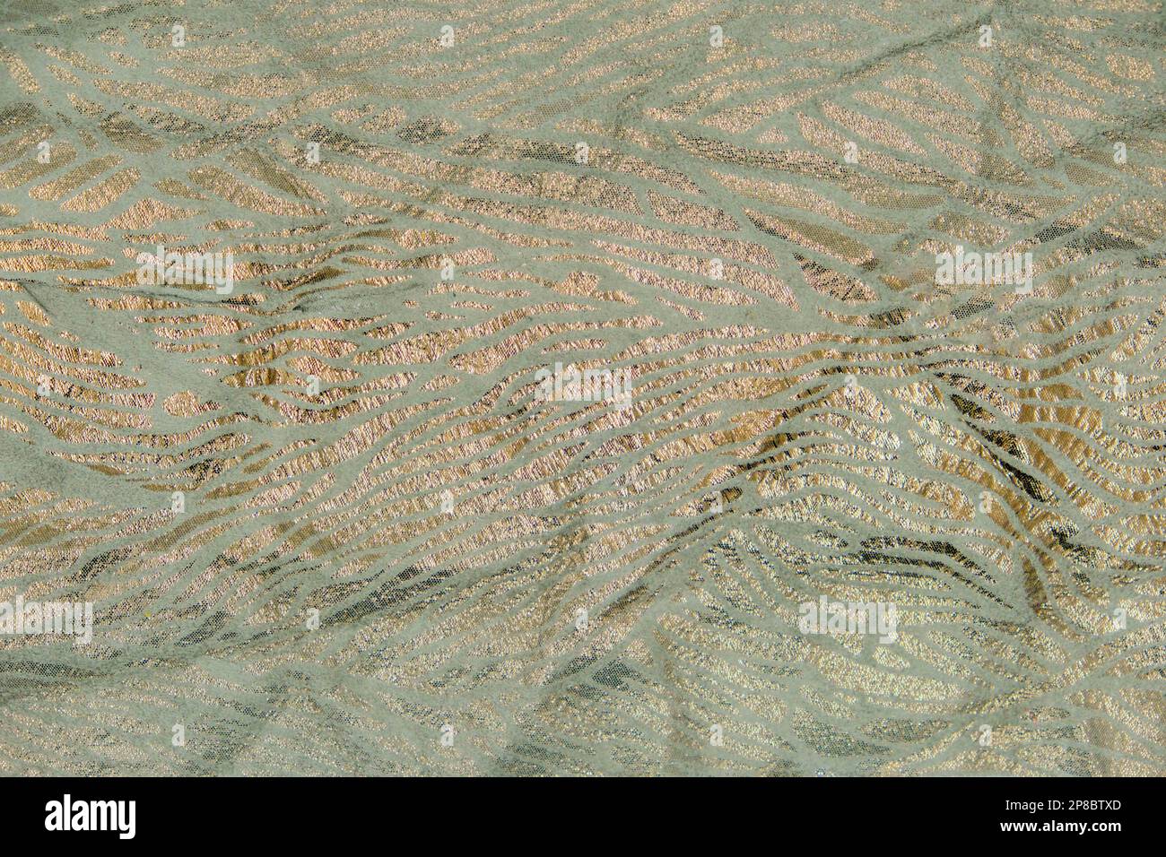 Golden Zebra print pattern leather cut as background textured and ...