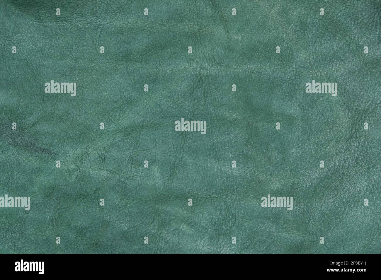 Green leather cut as background textured and wallpaper. Rustic style ...