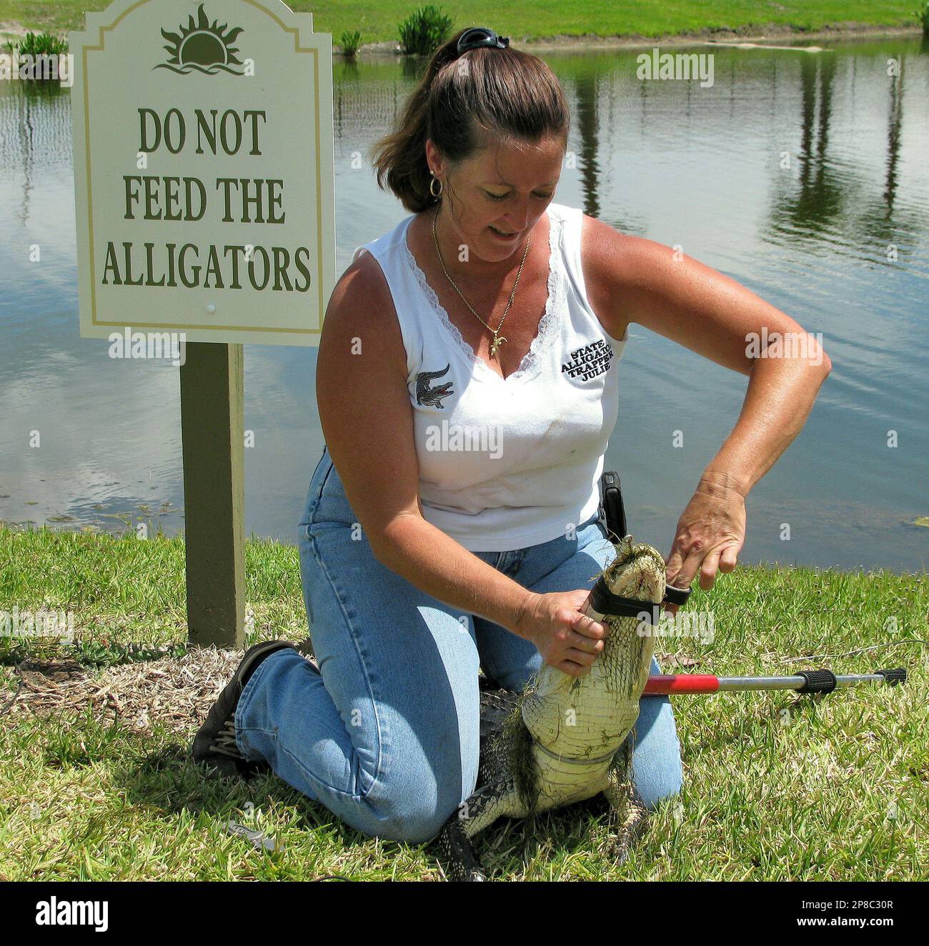 Julie Harter, Florida's only female state employed alligator trapper ...