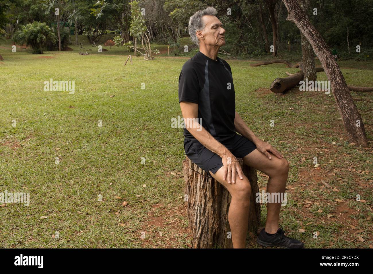 Man sitting on tree stump hi-res stock photography and images - Alamy