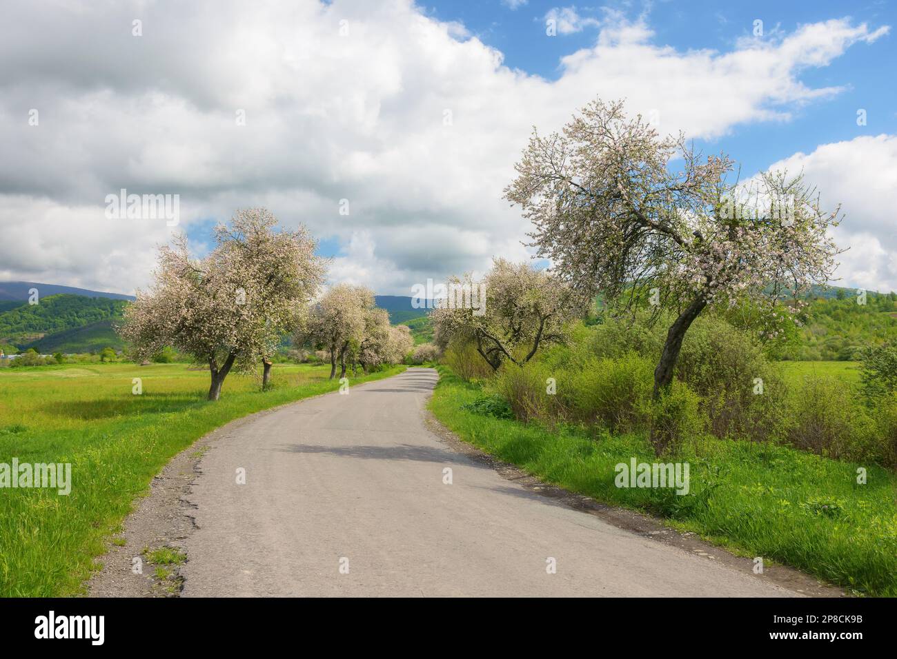 beauty of spring is captured in the scenic backdrop of the countryside ...