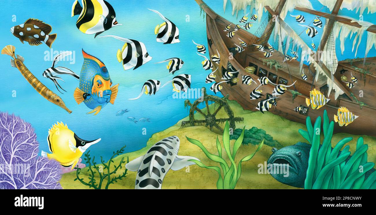 Animals-Variety of fish aroun pld shipwreck Stock Photo - Alamy