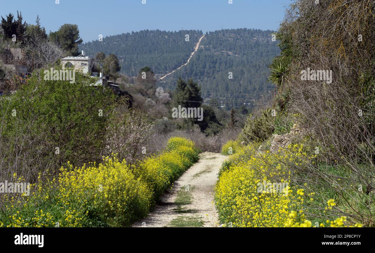 Dirt road in hilly hi-res stock photography and images - Alamy