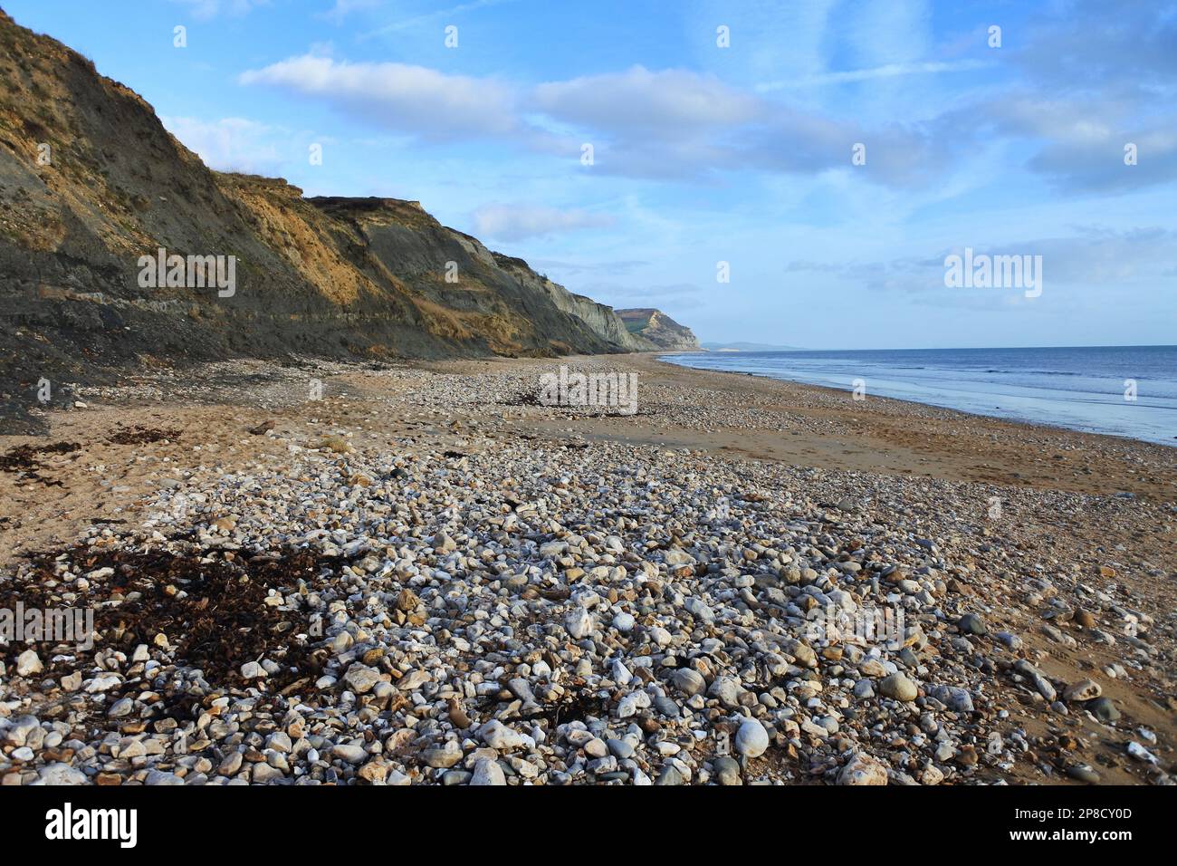 The beach and cliffs at Charmouth, Dorset, on the Jurassic Coast, a ...