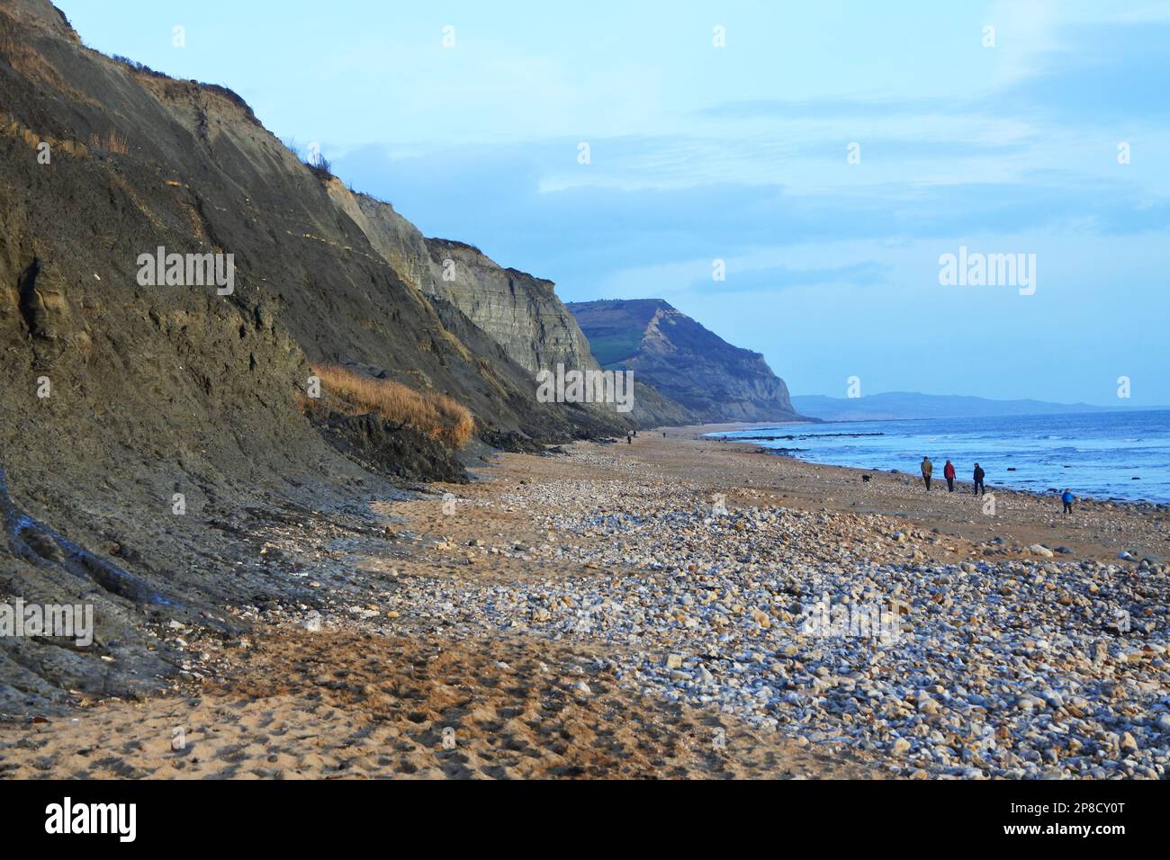 The beach and cliffs at Charmouth, Dorset, on the Jurassic Coast, a ...