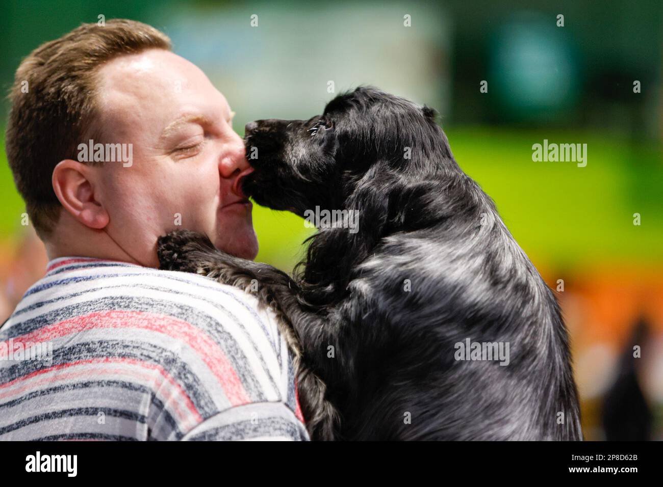 Birmingham, UK. 9th Mar, 2023. A Cocker Spaniel shows the love on the ...