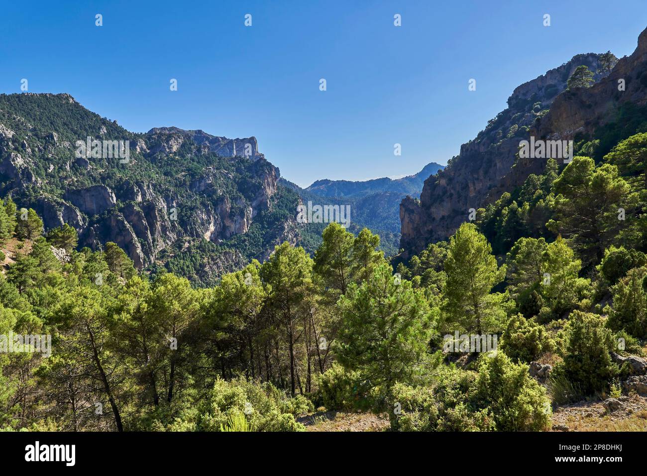 The Sierras de Cazorla, Segura y Las Villas Natural Park is the largest ...