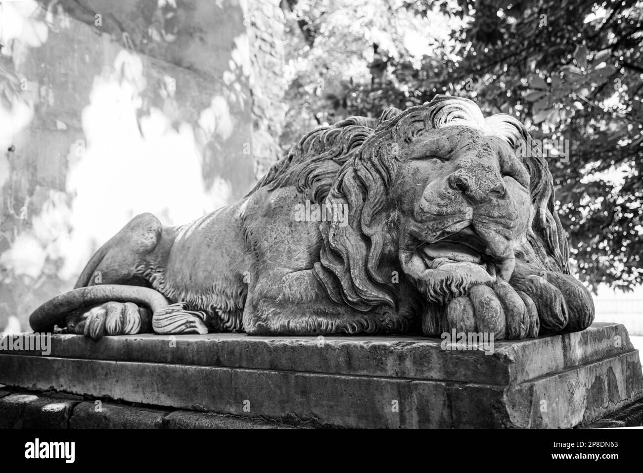 Sleeping lion statue hi-res stock photography and images - Alamy