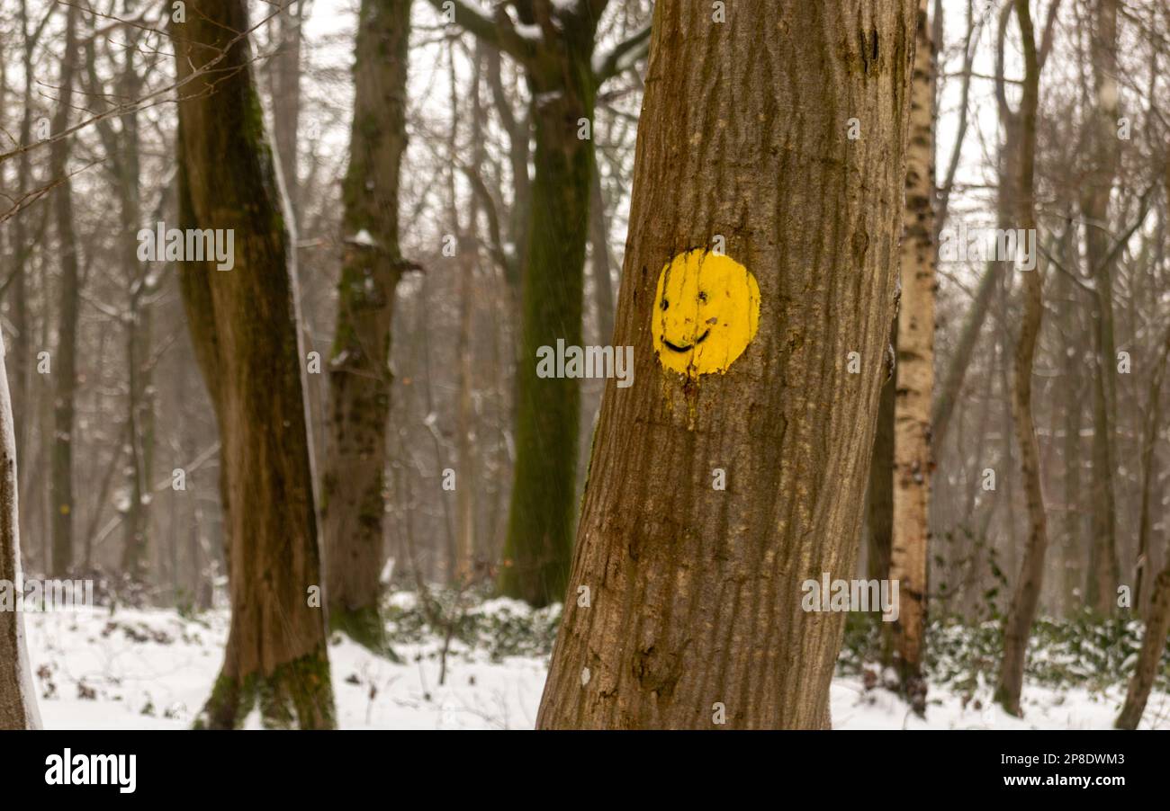 Smiling emoji on a tree in a forest Stock Photo - Alamy