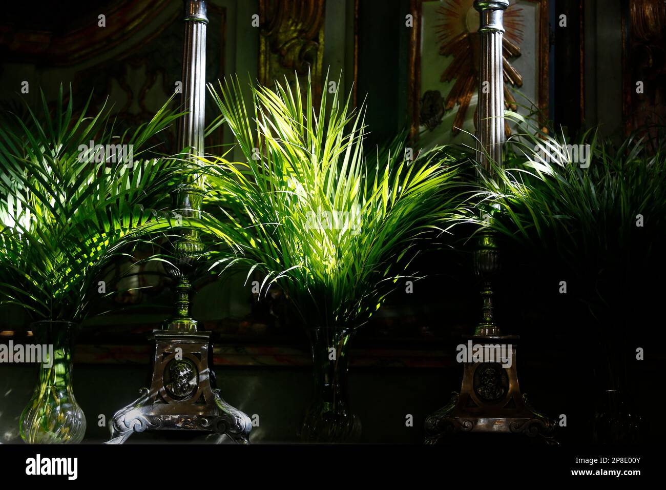 Holy Week. Green branches with dramatic, spot lighting. Traditional ...