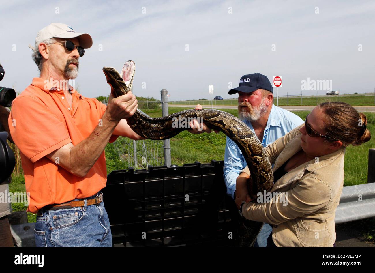 Skip Snow, left, and Theresa Walters, right, take a Burmese python out ...