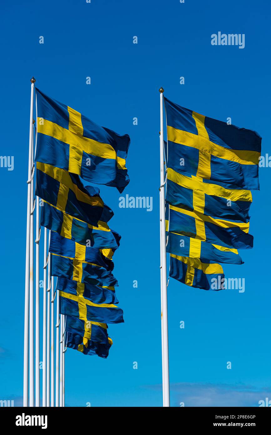 Several swedish flags flying on flagpoles Stock Photo - Alamy