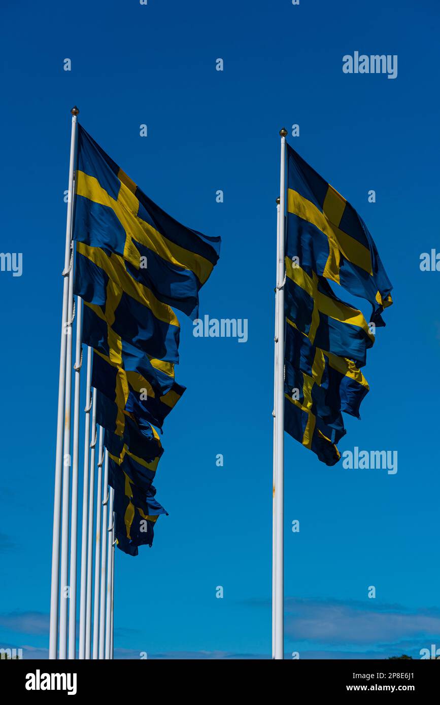 Several swedish flags flying on flagpoles Stock Photo - Alamy