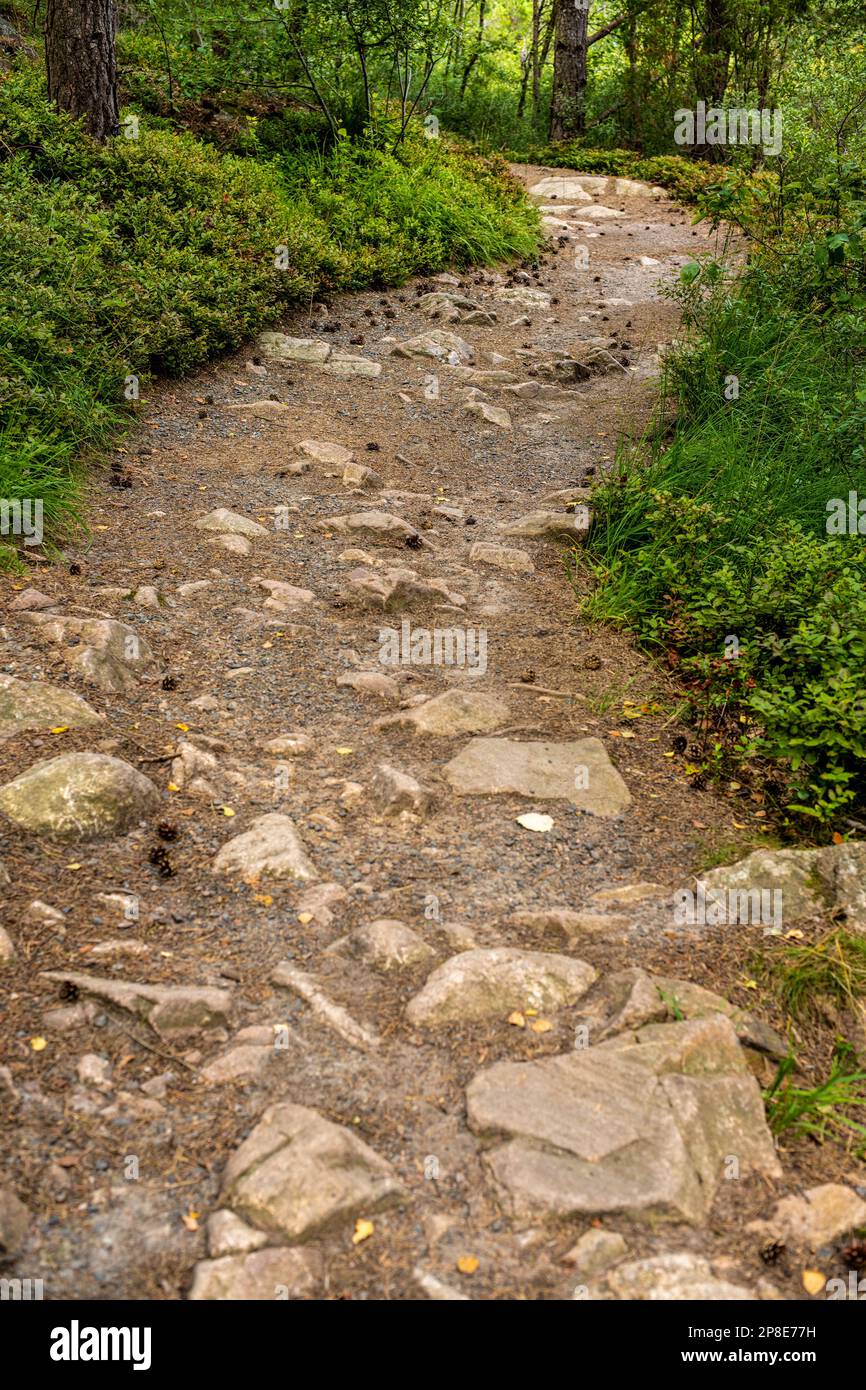 Narrow footpath through grass hi-res stock photography and images - Alamy