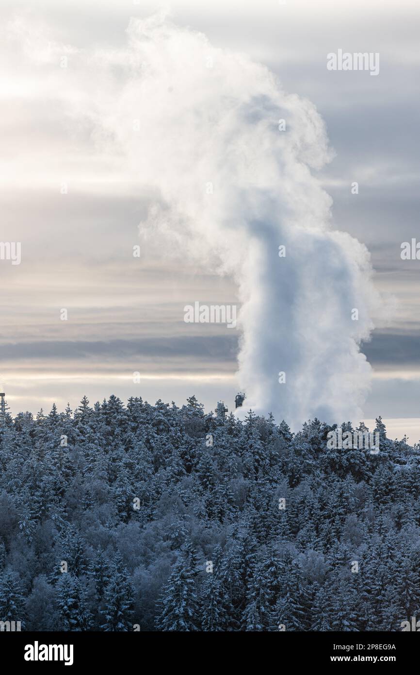 Rising forest temperature hi-res stock photography and images - Alamy