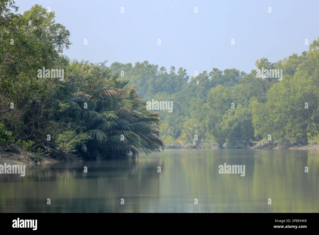 Sundarbans is the biggest natural mangrove forest in the world, located ...