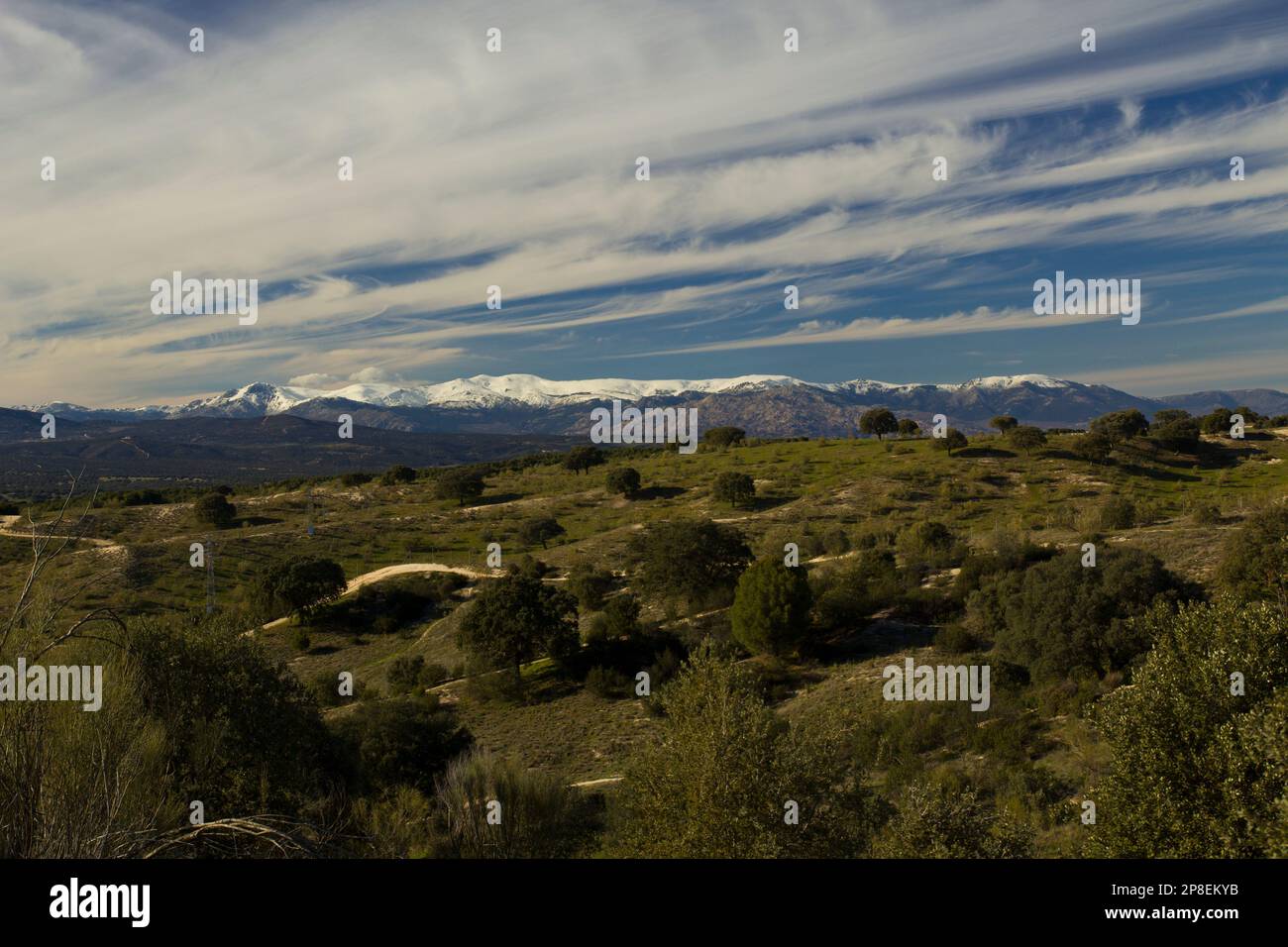 Monte de el pardo hi-res stock photography and images - Alamy