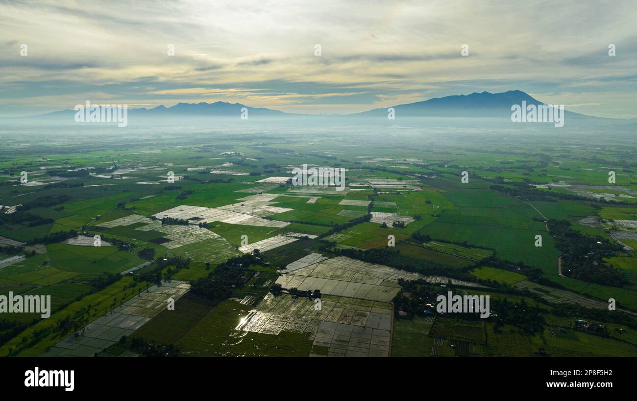 Aerial view of farmland and rice fields during sunrise. Negros ...