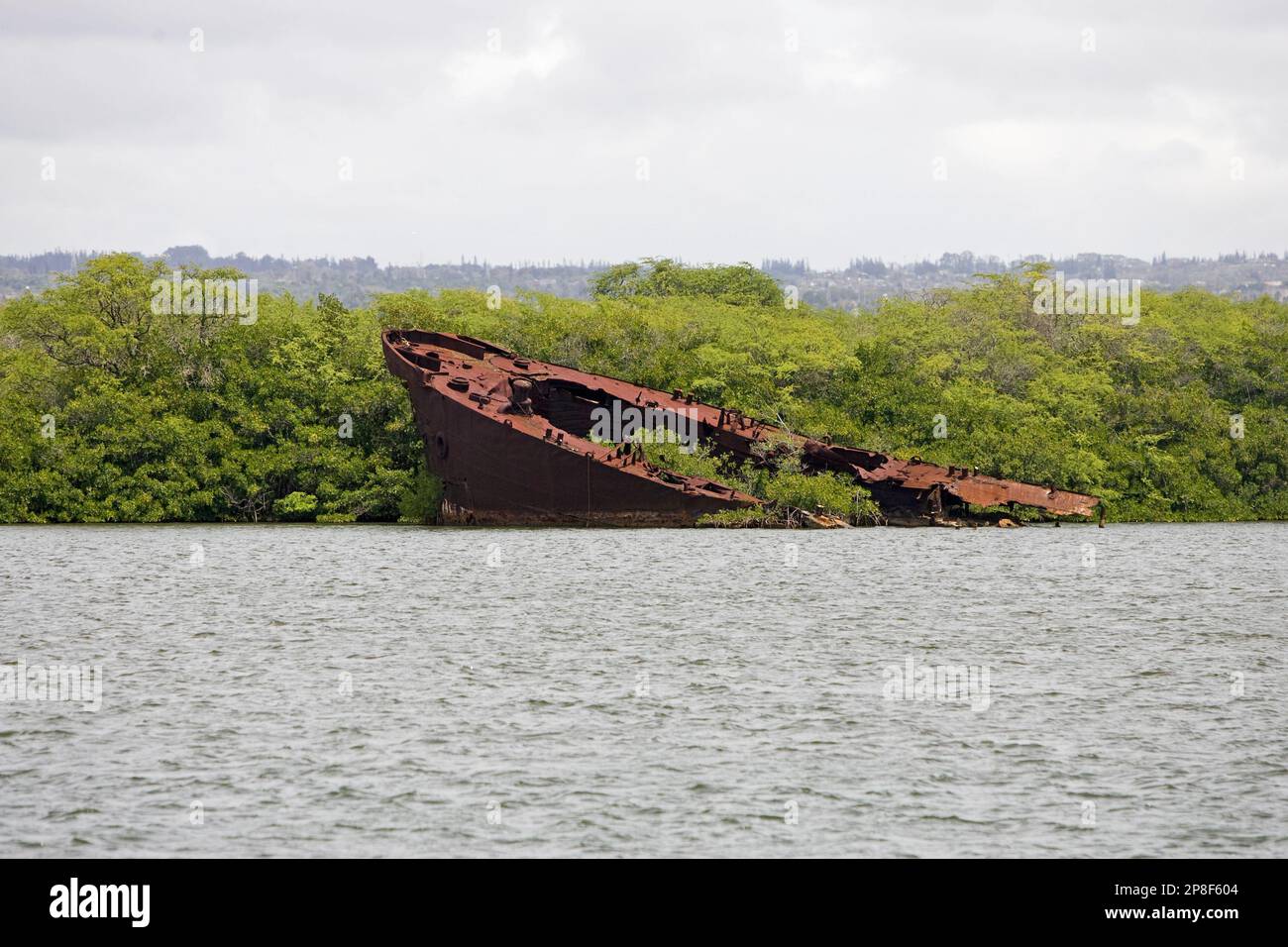 The remains of the USS LST-480, or Landing Ship Tank, is seen in West ...