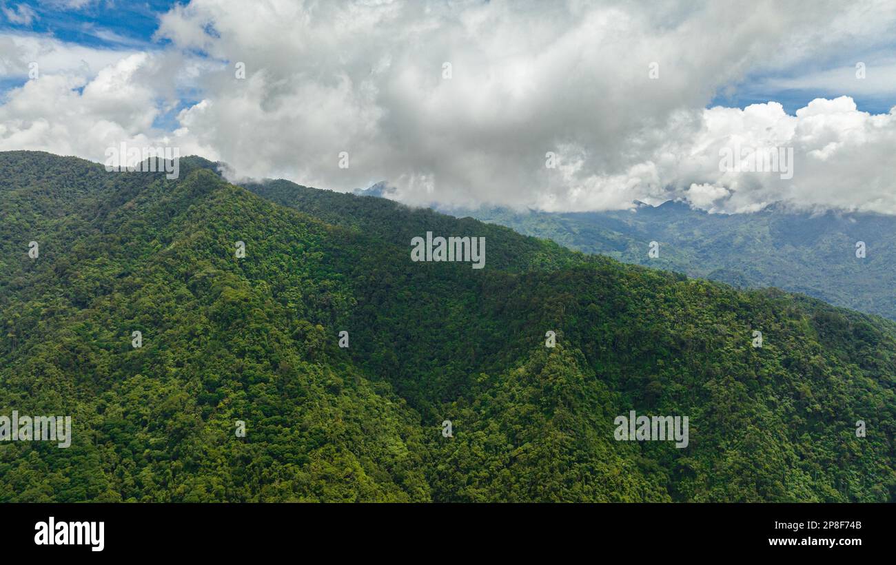 Aerial view of tropical mountain range and mountain slopes with ...