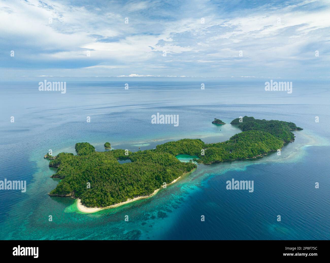 Tropical island in the blue sea with sandy beach. Danjugan islands ...