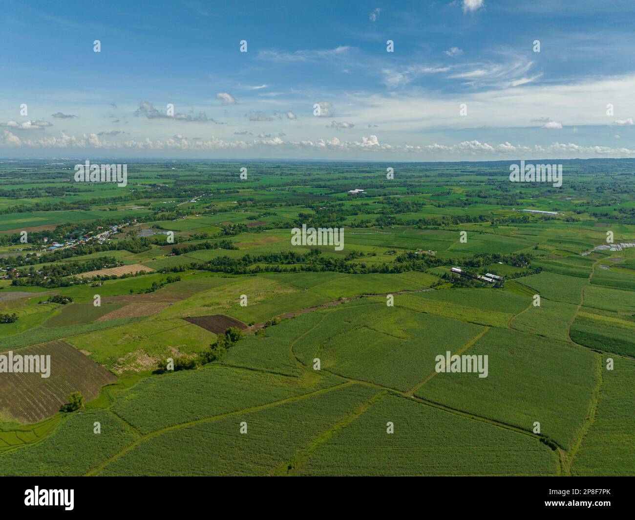 Aerial view of farmland with plantations of sugarcane and agricultural ...