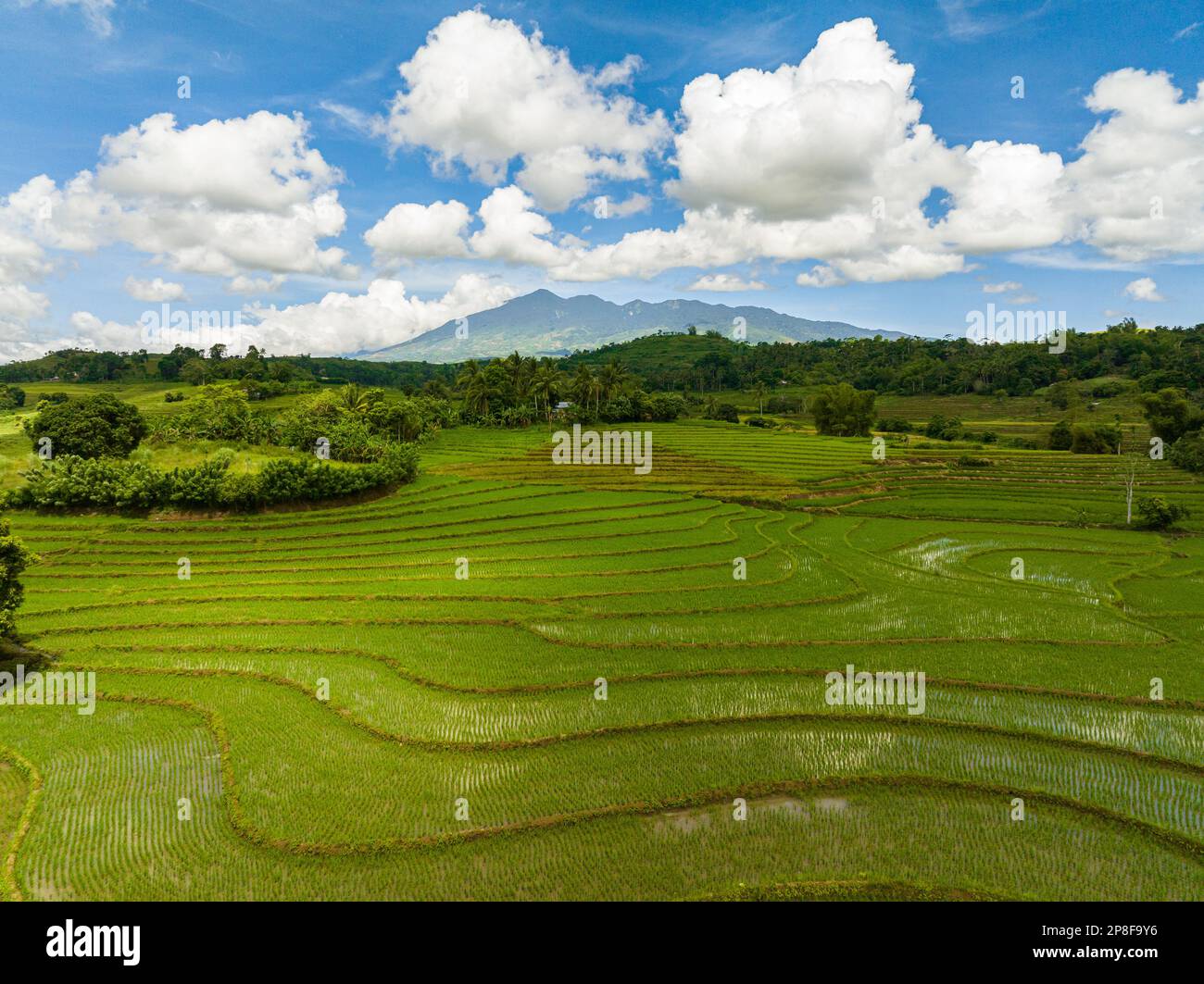 Mountain landscape with green hills and farmland. Negros, Philippines ...
