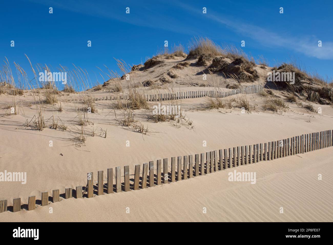 Sand dune fence at Yyteri beach in spring, Pori, Finland Stock Photo ...