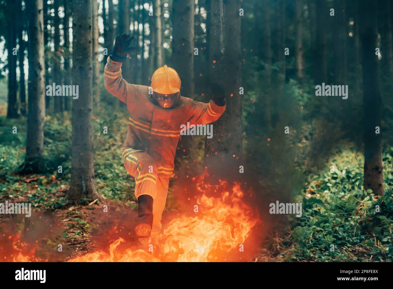 firefighter hero in action danger jumping over fire flame to rescue and ...