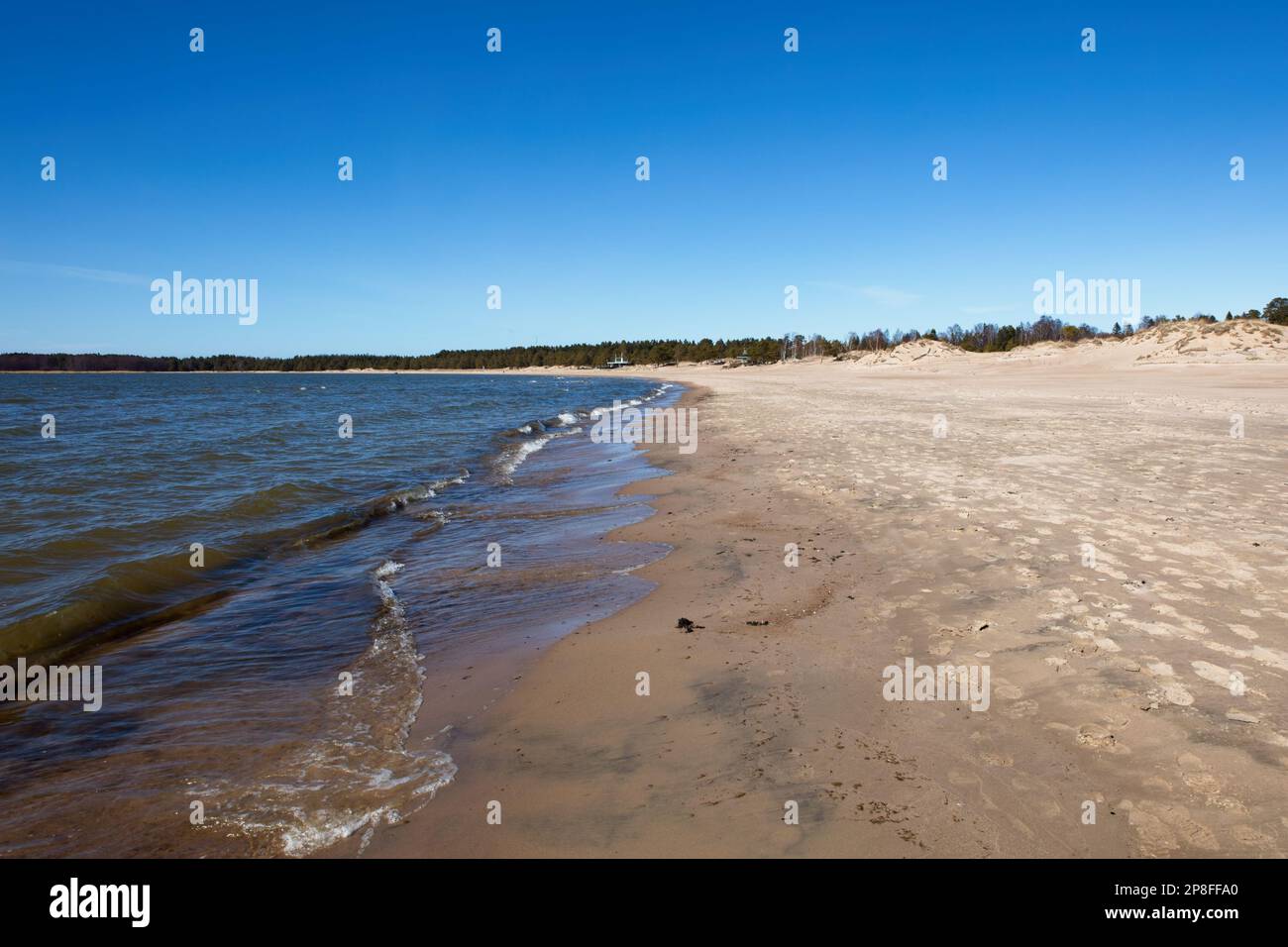 Landscape view of Yyteri beach in spring, Pori, Finland Stock Photo - Alamy