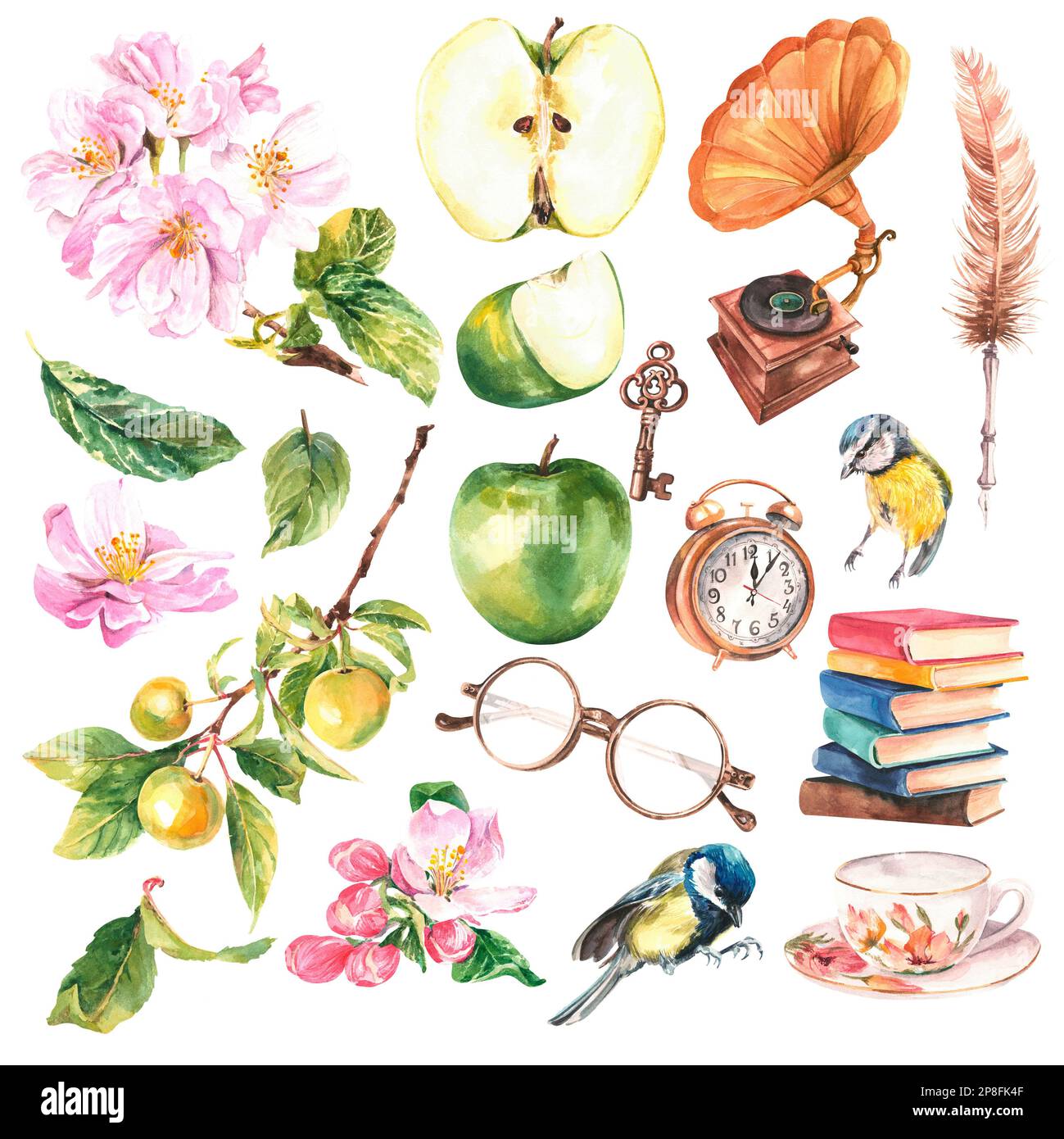 Spring set of apple blossom trees and vintage objects. Watercolor ...