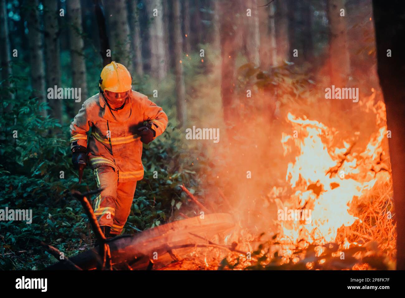 firefighter hero in action danger jumping over fire flame to rescue and ...