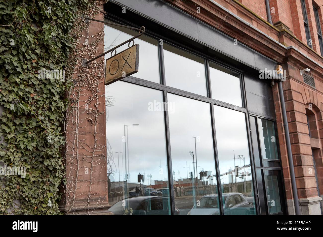 ox restaurant Belfast Northern Ireland UK Stock Photo - Alamy