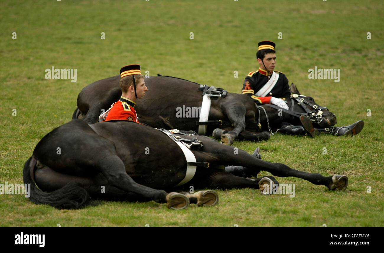 'Monkey Men' and their lie-down horses from Britain's Household Cavalry ...