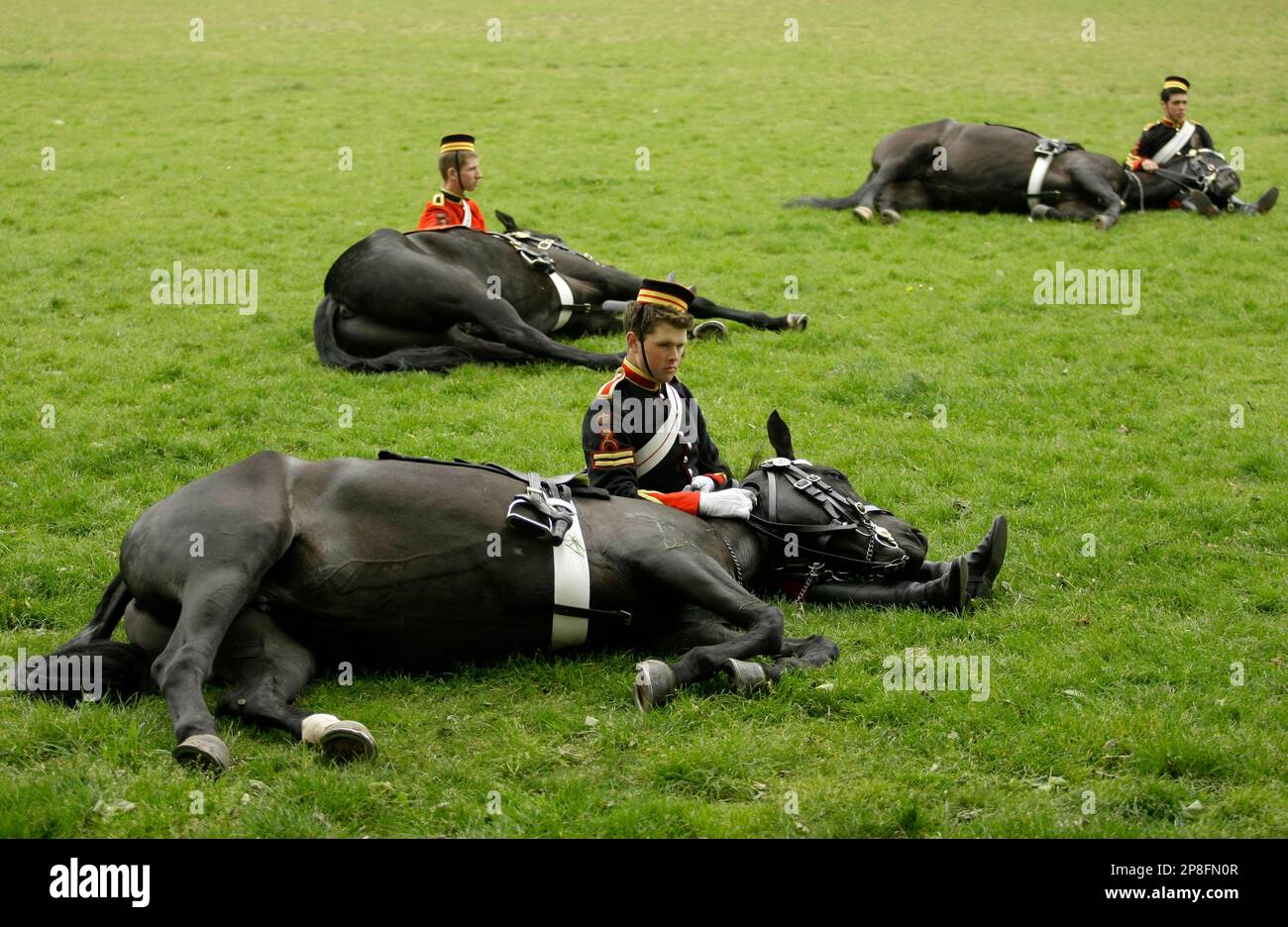 'Monkey Men' and their lie-down horses from Britain's Household Cavalry ...