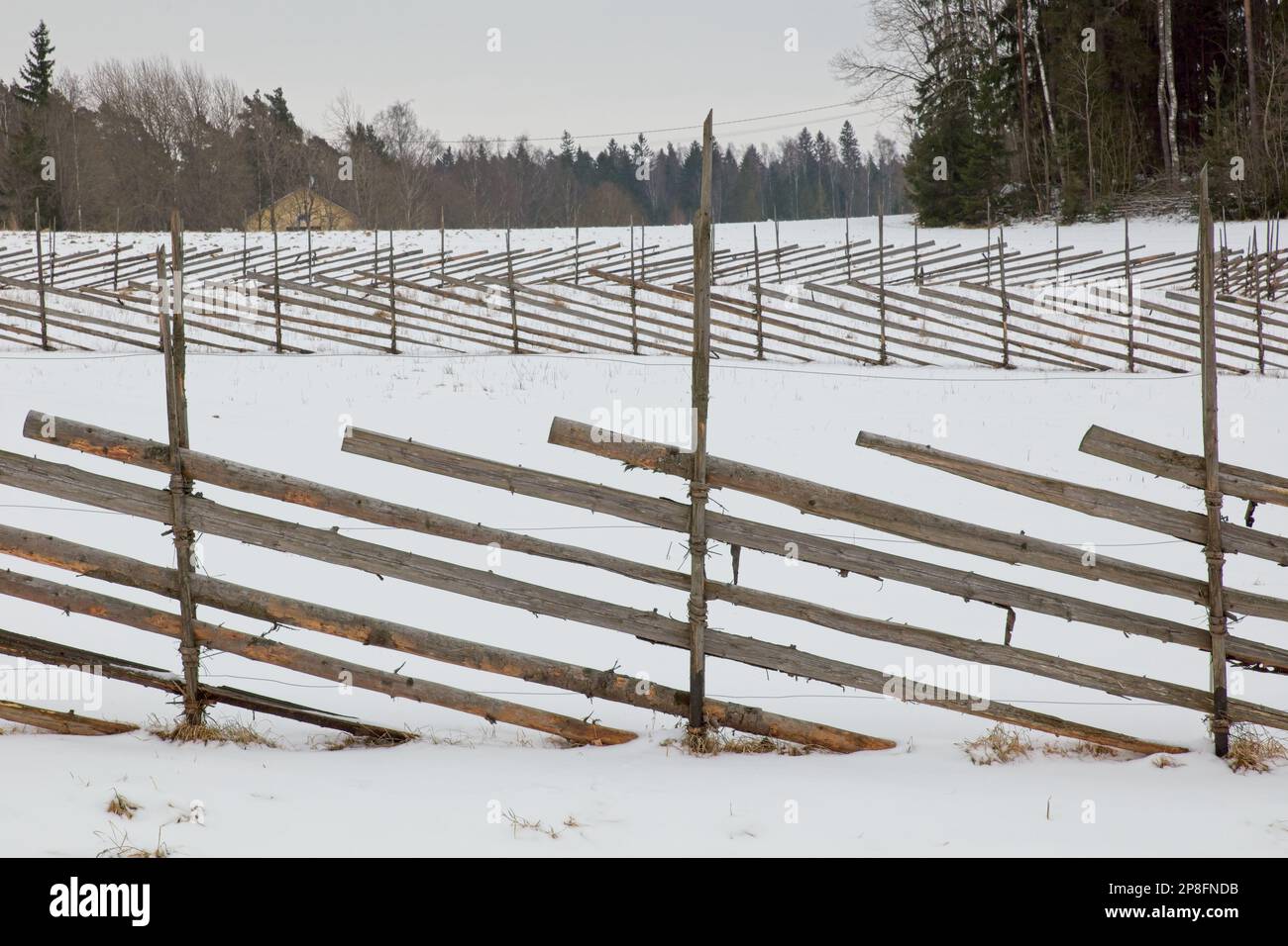 Old traditional wooden roundpole fence in winter with snow Stock Photo ...