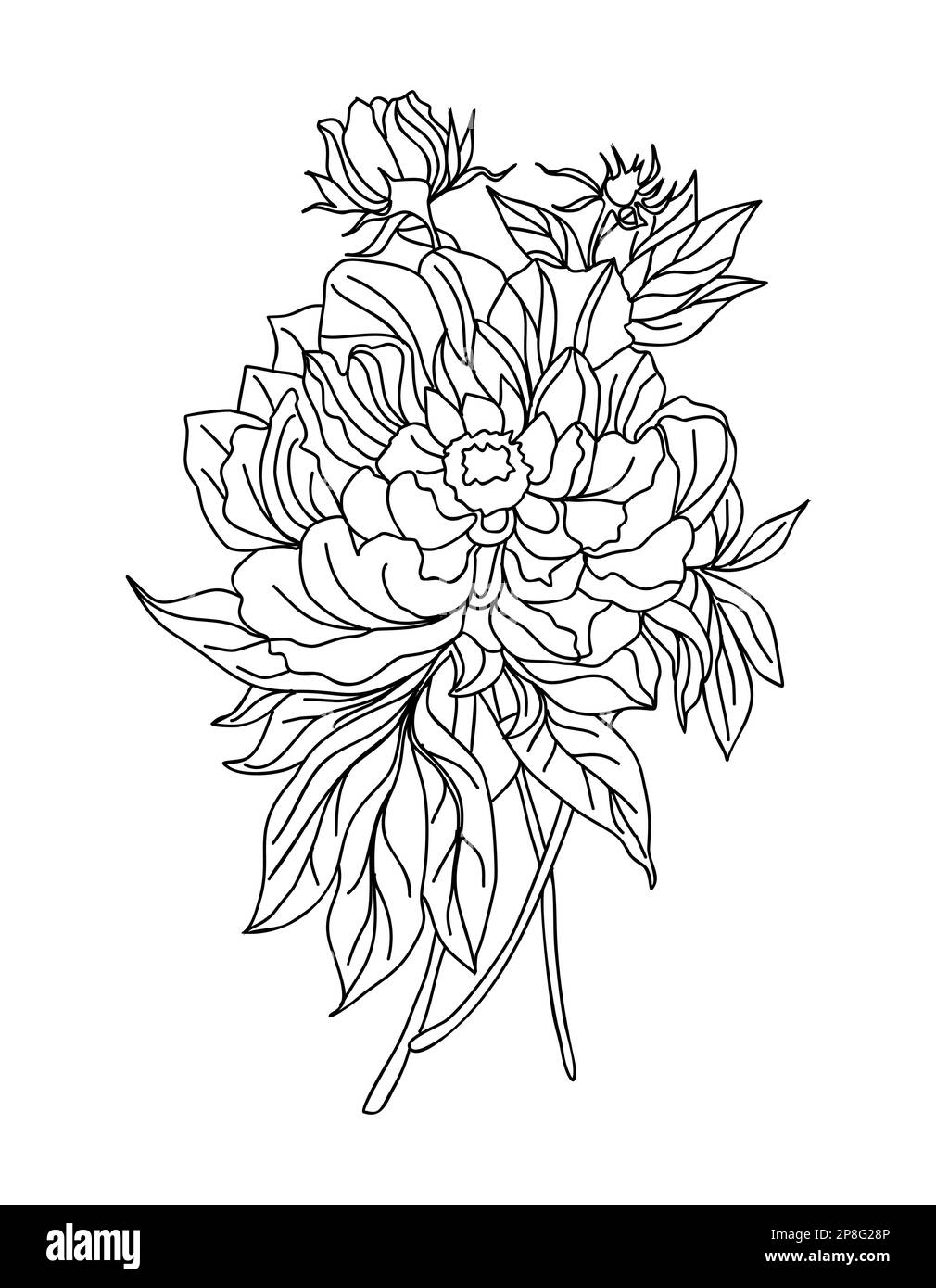 Peony November Birth Month Flower Line Art Stock Vector Image And Art Alamy