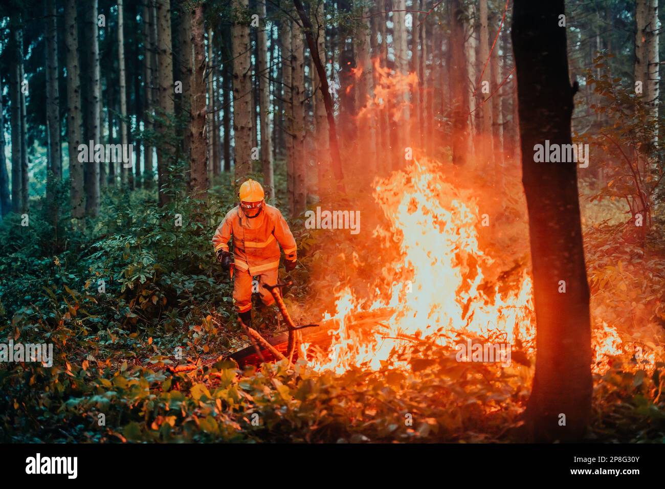 firefighter hero in action danger jumping over fire flame to rescue and ...