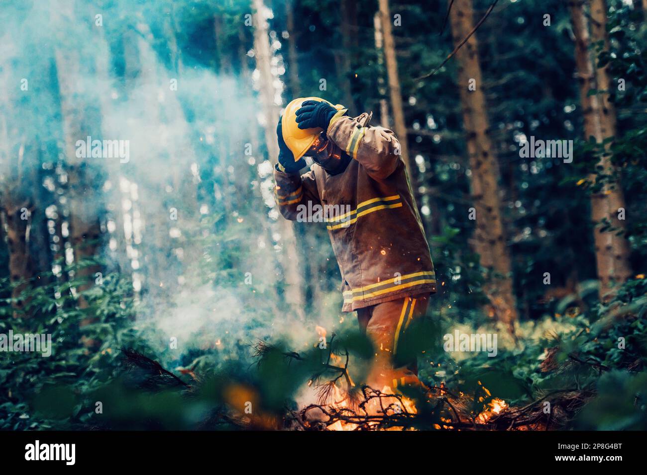 Firefighter at job. Firefighter in dangerous forest areas surrounded by ...