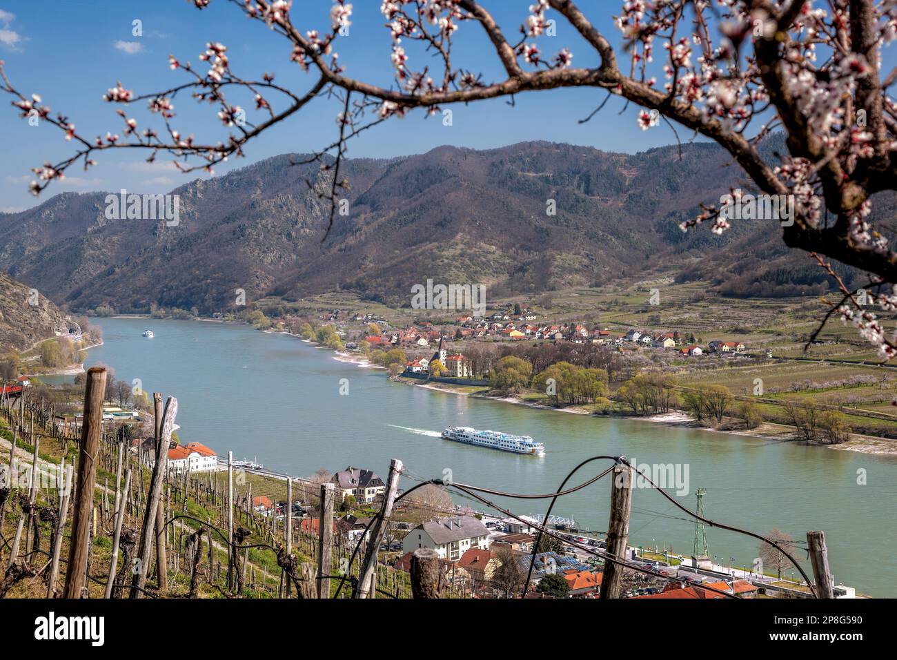 Spitz village with ship on Danube river in Wachau valley (UNESCO ...