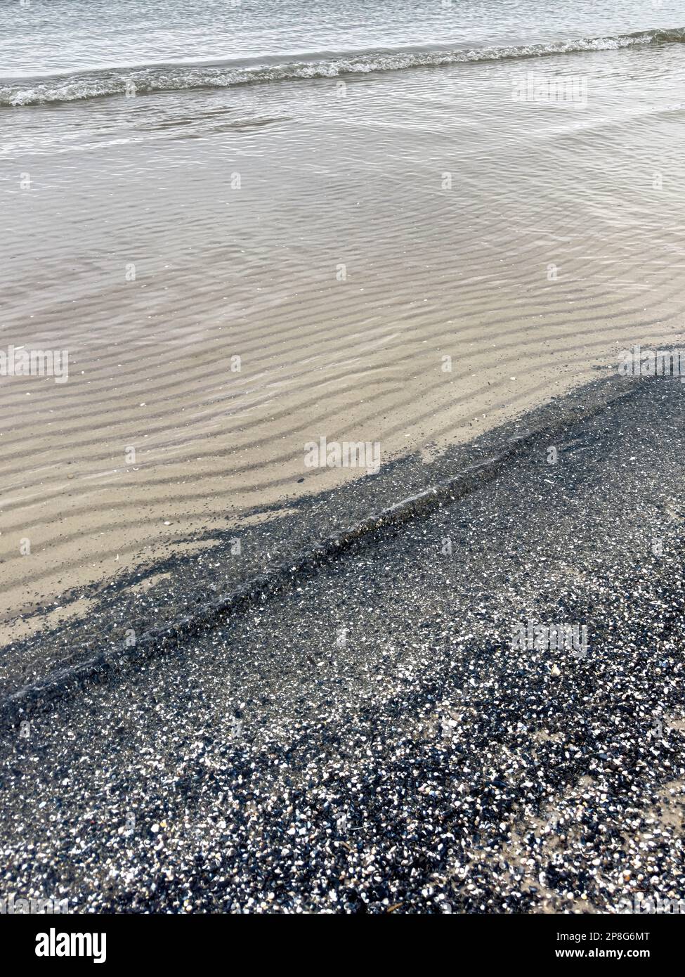 Textured sea sand at the bottom, seashore, natural background Stock ...