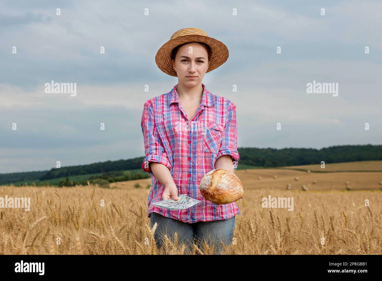 Young farmer holding dollars and bread in golden wheat field. Profit ...