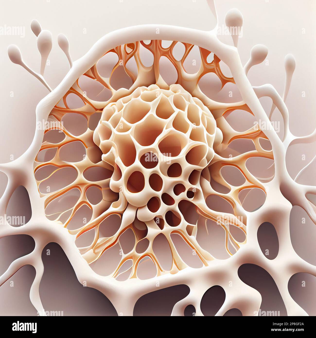 Beautiful fibres hi-res stock photography and images - Alamy