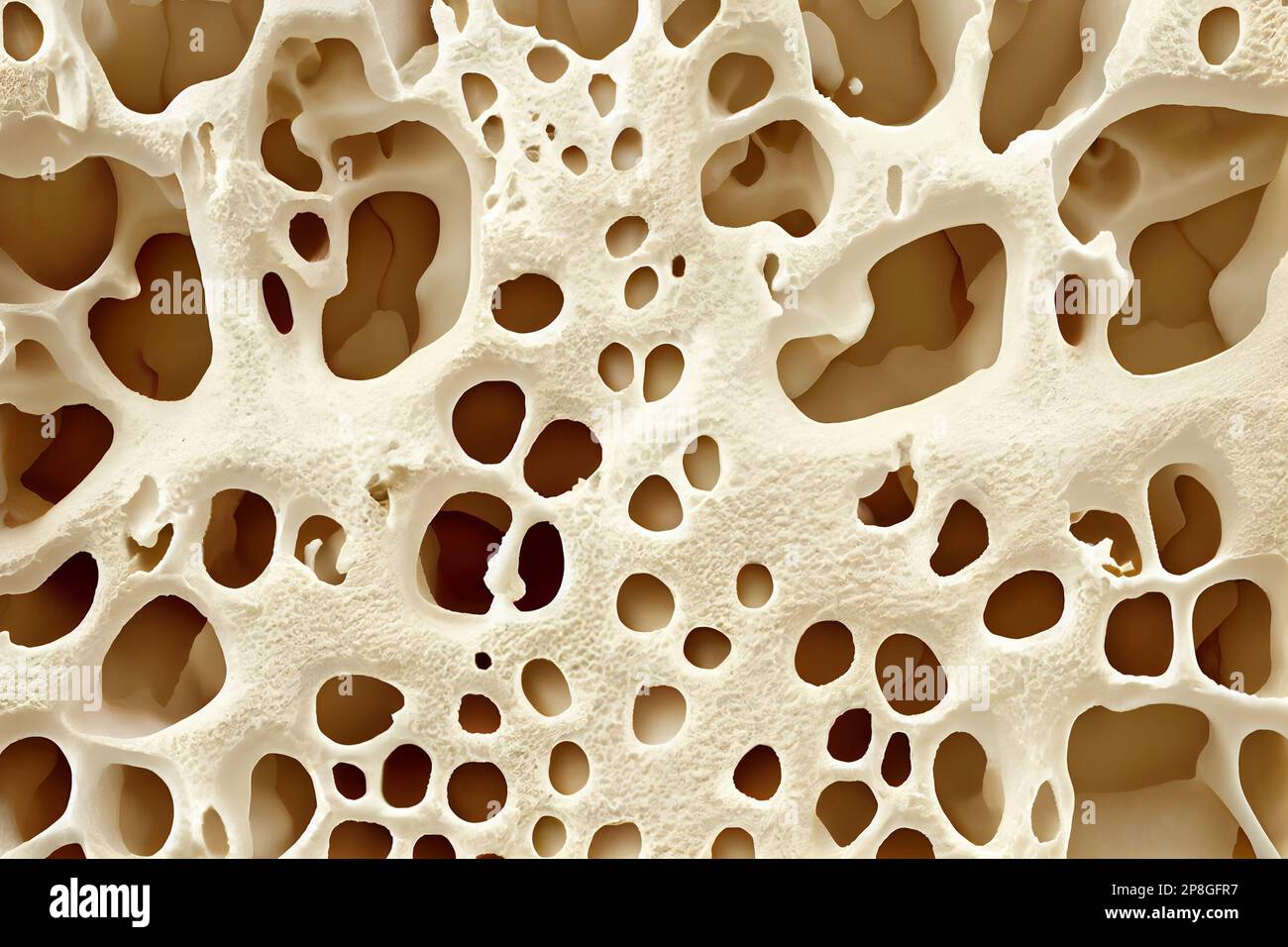 Human skeletal muscle cells hi-res stock photography and images - Alamy