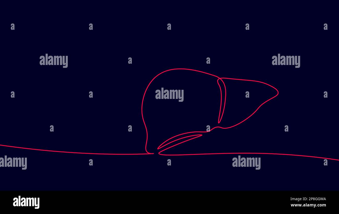 Single continuous line art anatomical human liver silhouette. Healthy ...