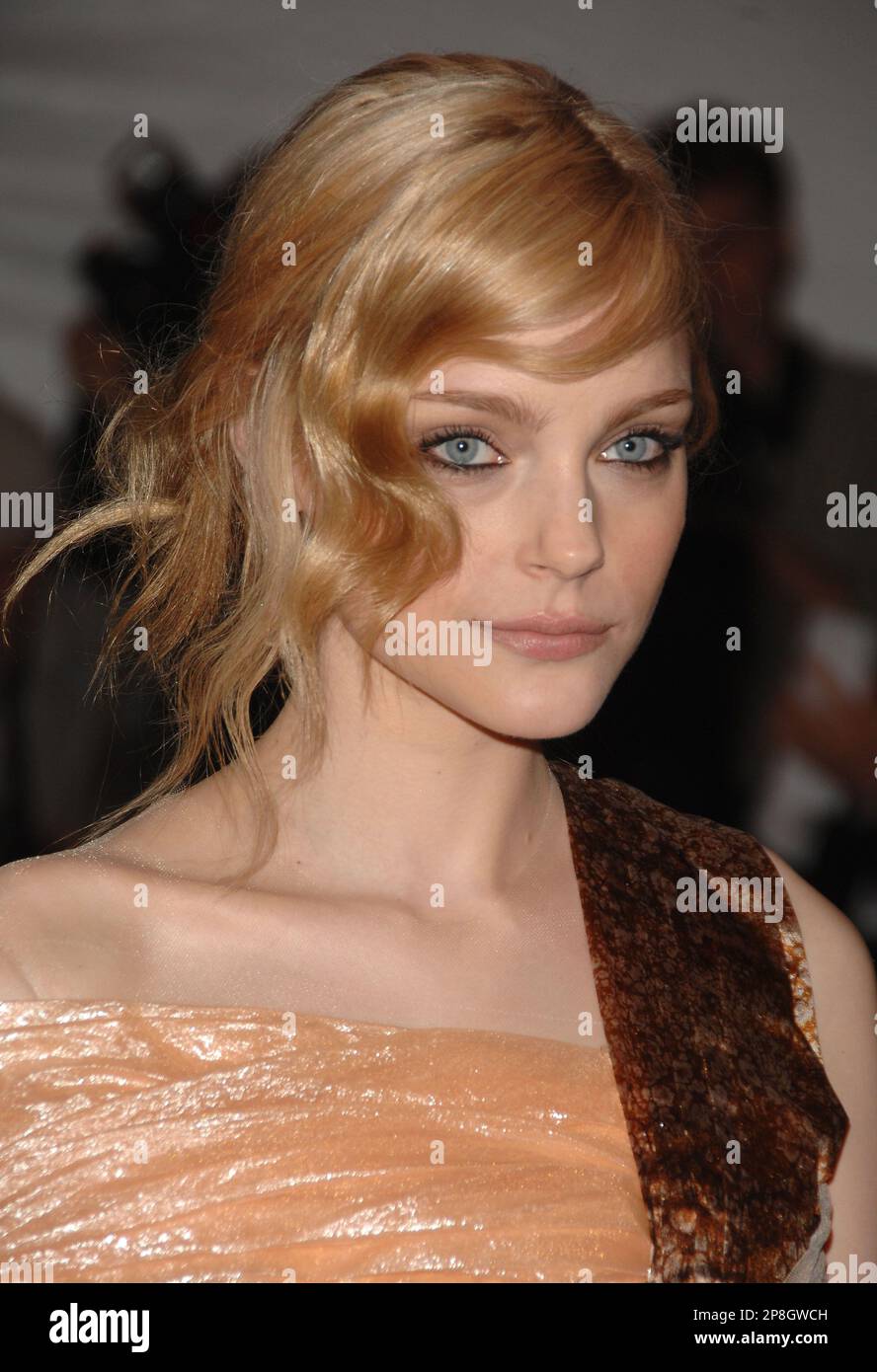 Model Jessica Stam arrives at the Metropolitan Museum of Art's Costume ...