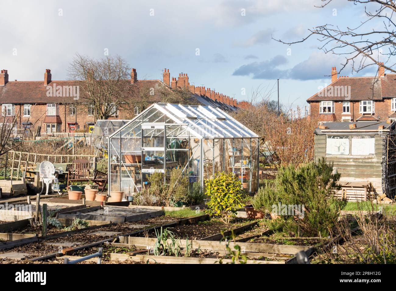 Allotment gardening in the month of March. View over plots with ...