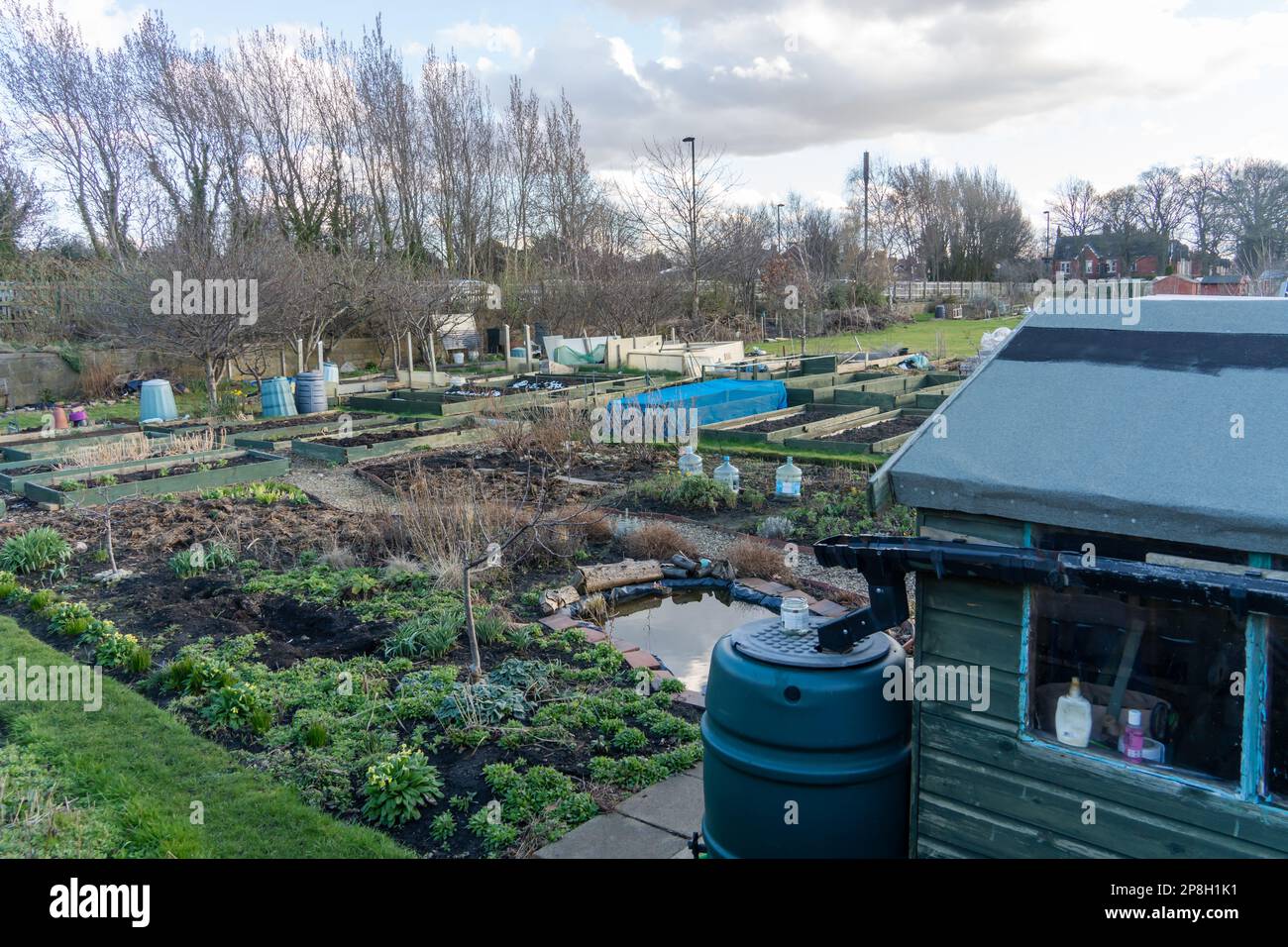 Allotment in the month of march, with shed, rain water barrel and ...